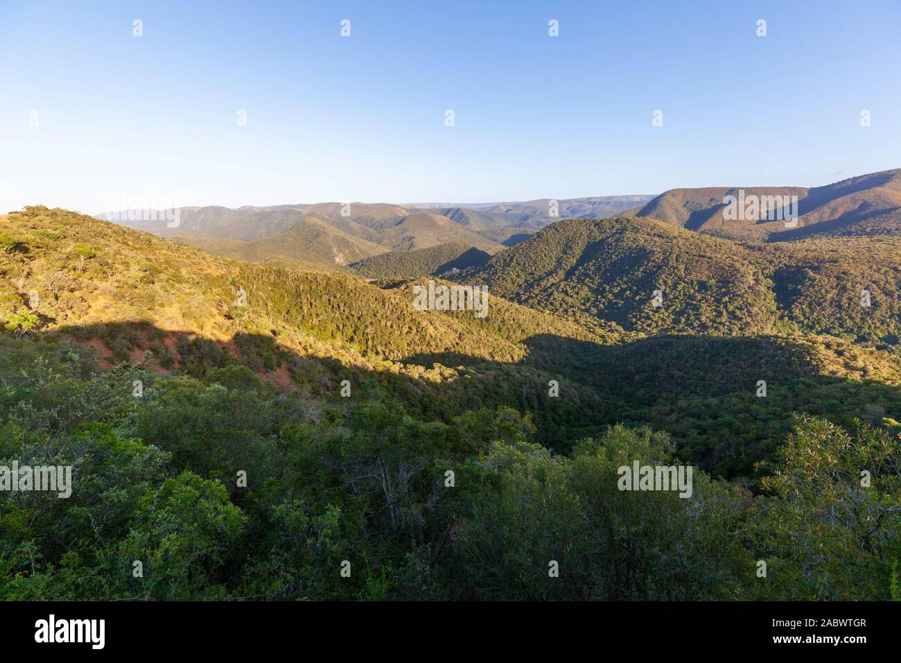 Views Eastern Cape around Addo Stock Photo - Alamy