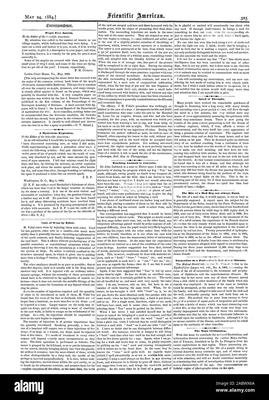 Fatal bite Cut Out Stock Images & Pictures - Alamy