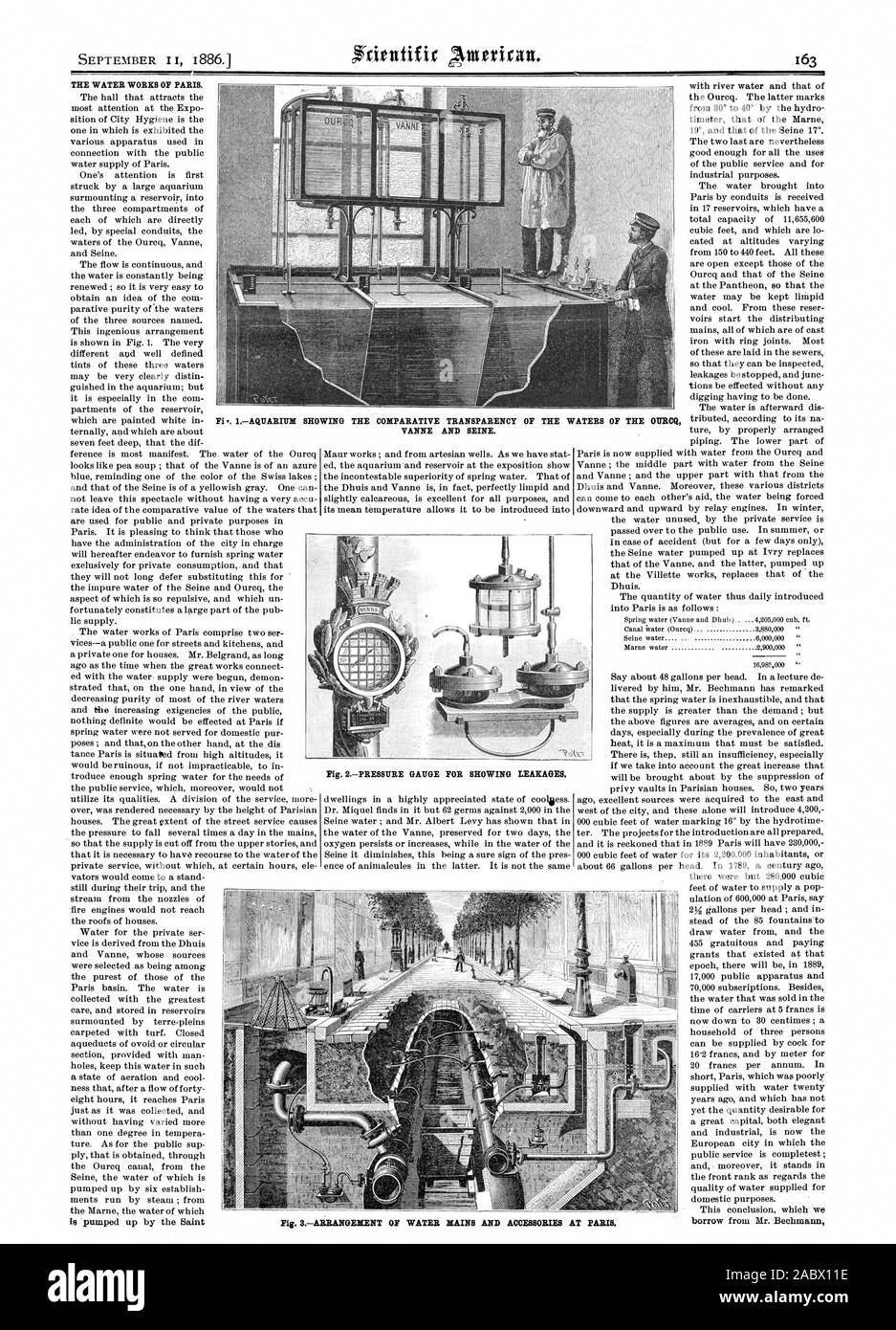 Showing a fig Cut Out Stock Images & Pictures - Alamy