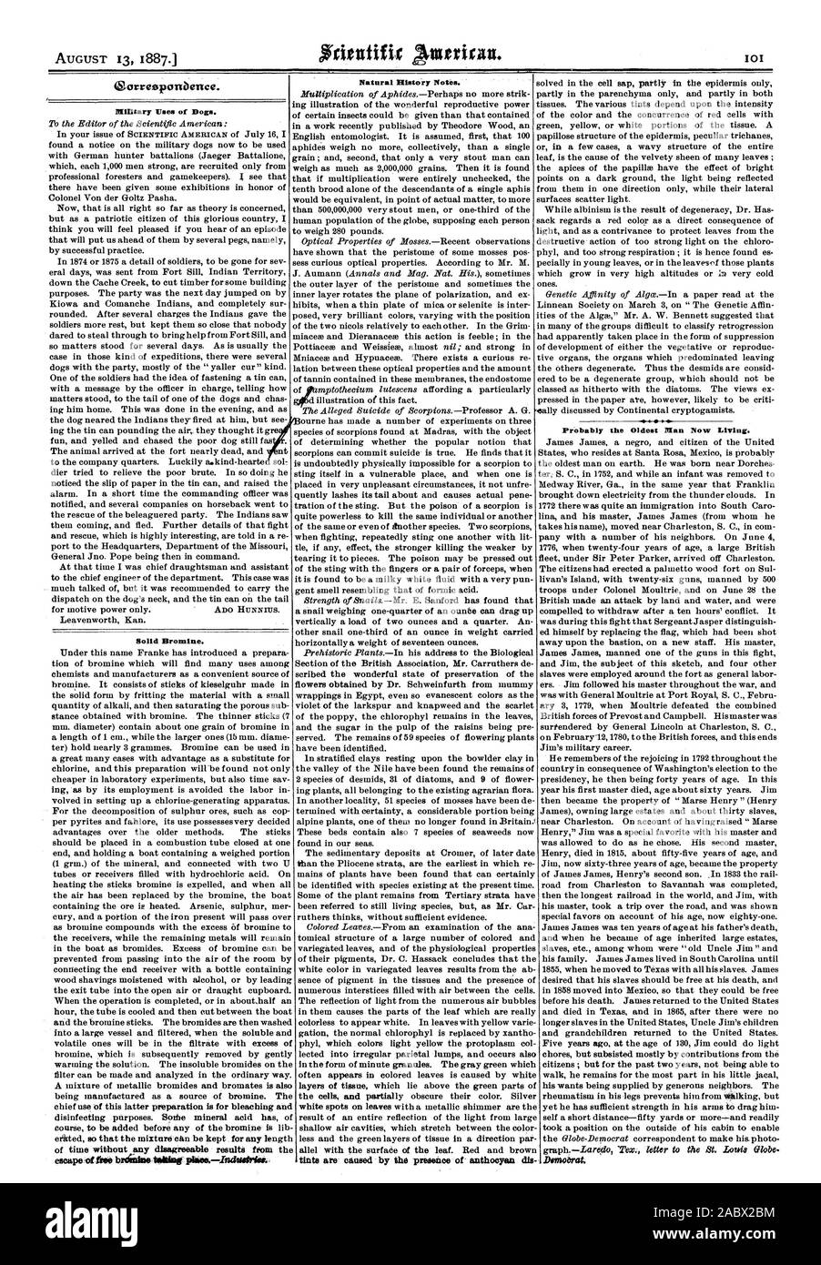 Eorreeponbence hi-res stock photography and images - Alamy