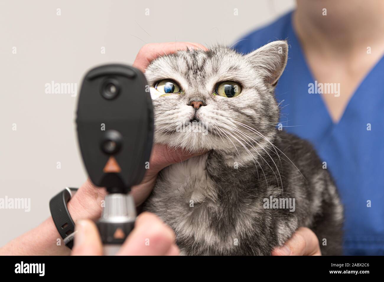 Slit lamp hi-res stock photography and images - Alamy
