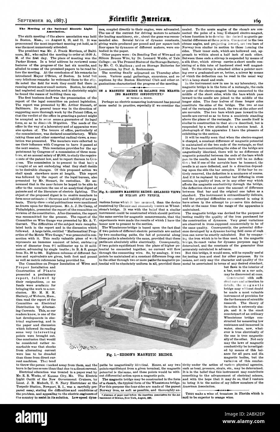 Enlarged views hi-res stock photography and images - Alamy