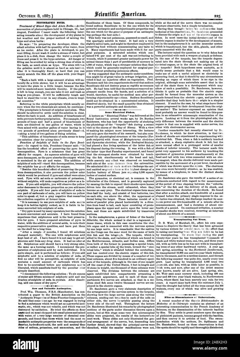 Sputa Cut Out Stock Images & Pictures - Alamy