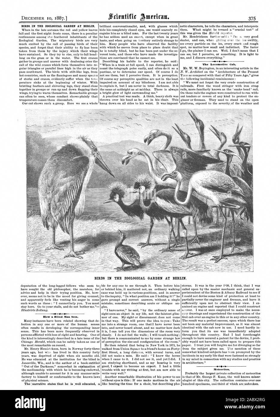 BIRDS. IN THE ZOOLOGICAL GARDEN AT BERLIN. The Locomotive Cab. BIRDS IN ...