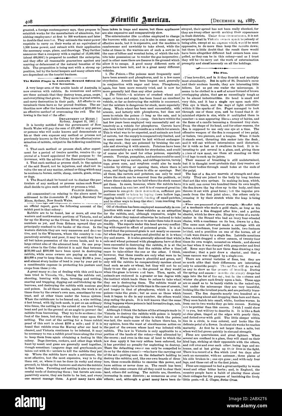 Rabbit plague australia hi-res stock photography and images - Alamy