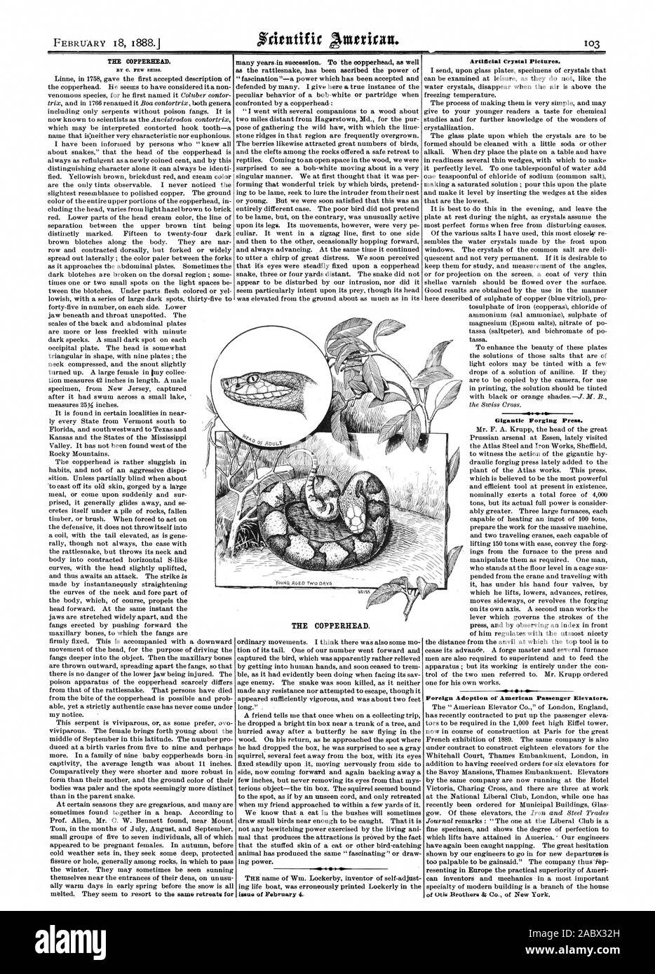 American passenger elevators hi-res stock photography and images - Alamy