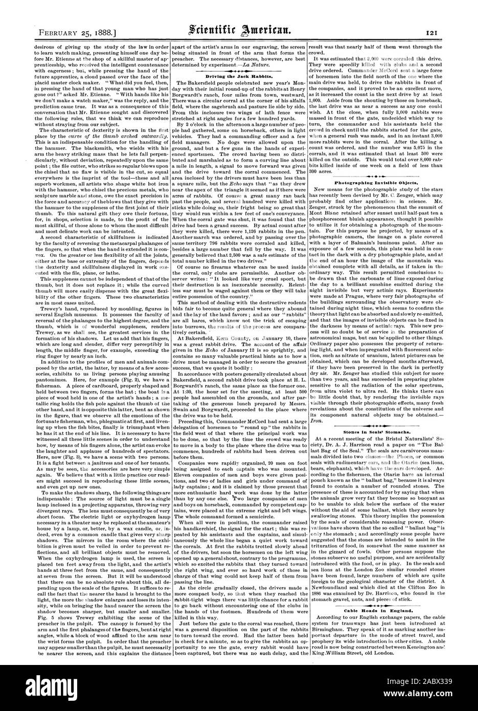 Driving jack rabbits hi-res stock photography and images - Alamy