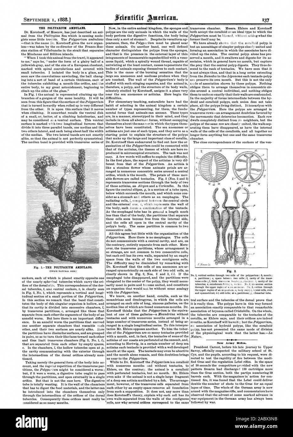 New army rifles Black and White Stock Photos & Images - Alamy