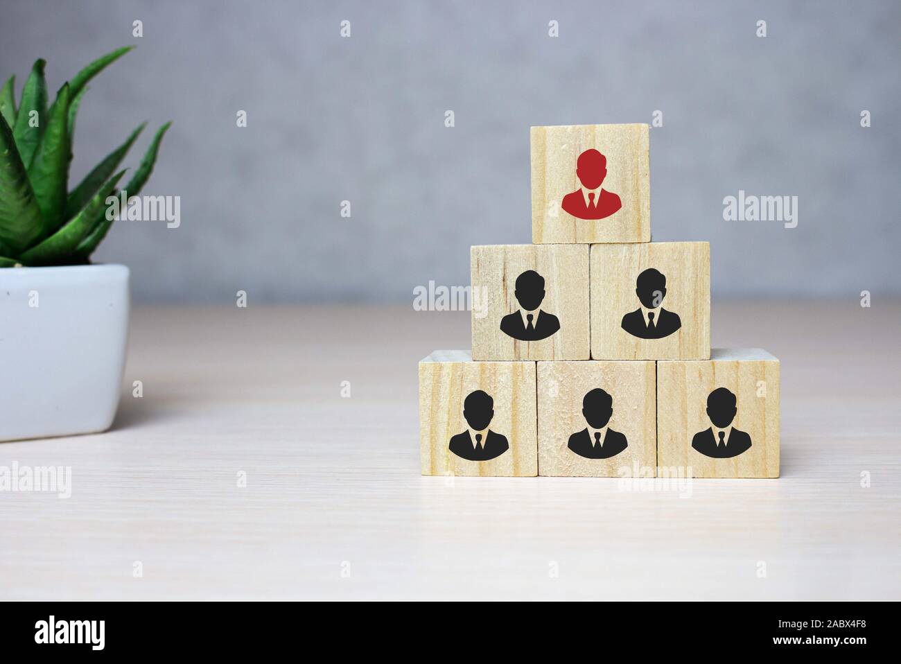 Human resource management and recruitment business concept,wood cube ...