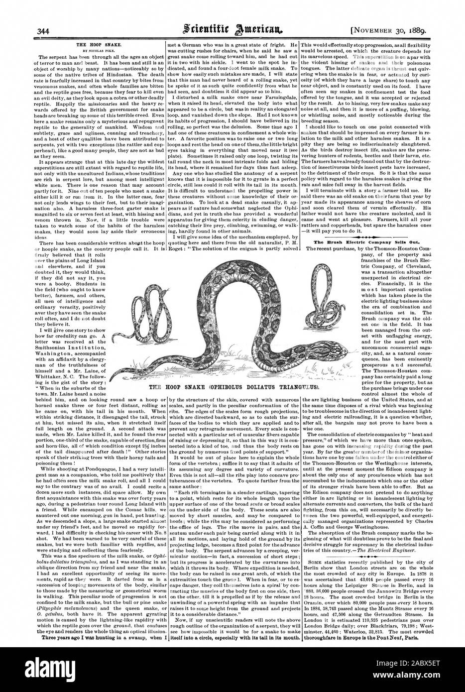 THE HOOP SNAKE. Three years ago I was hunting in a swamp when I itself ...