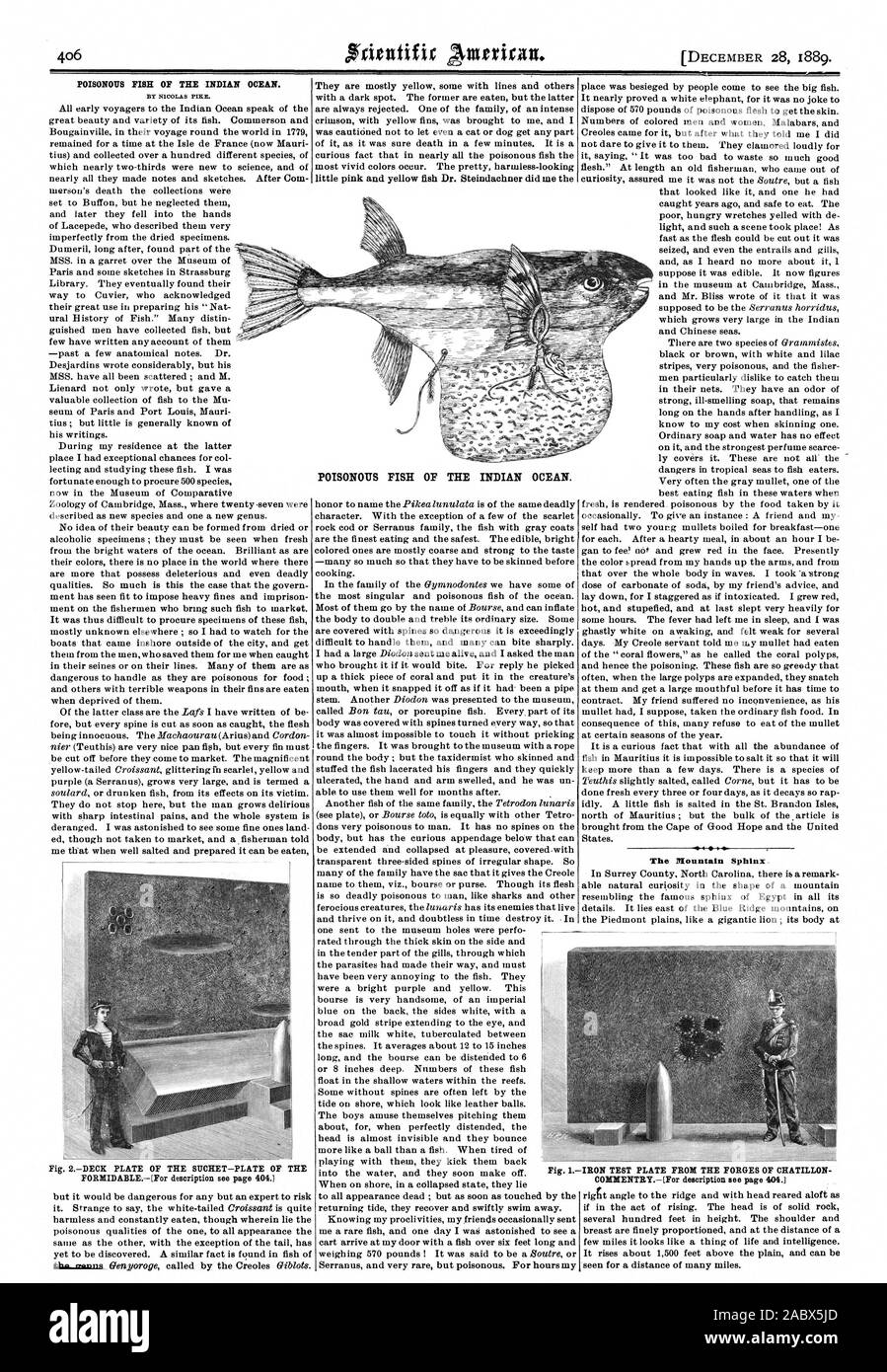 The Mountain Sphinx POISONOUS FISH OF THE INDIAN OCEAN., scientific ...