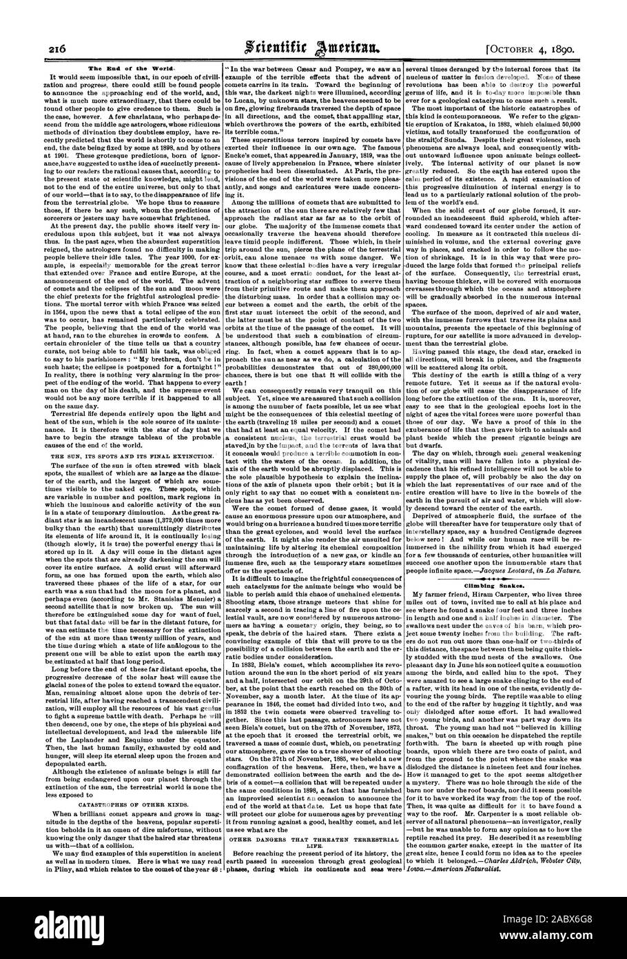 World climbing snakes hi-res stock photography and images - Alamy