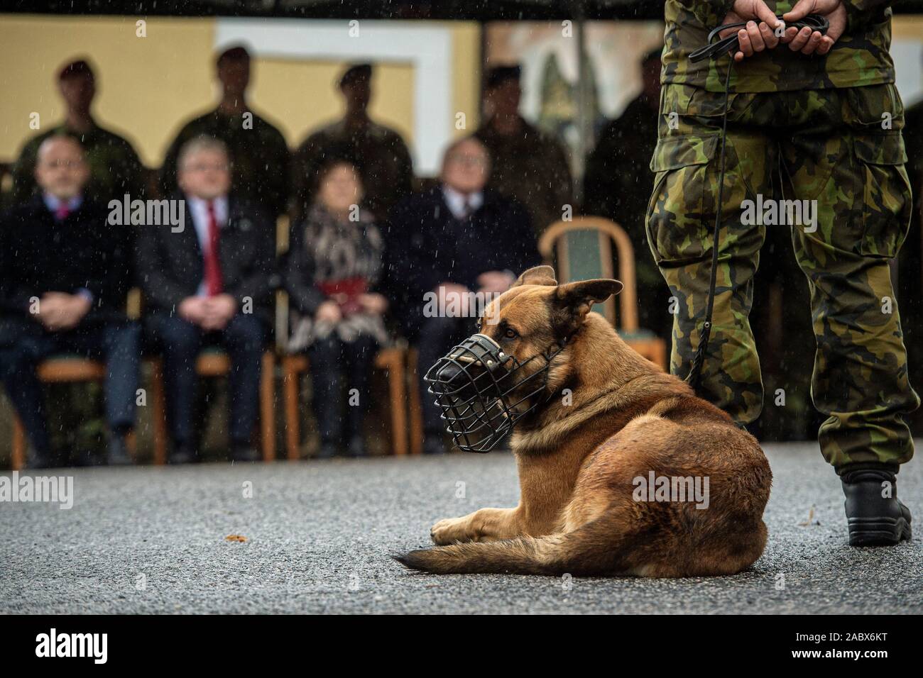 The bronze star medal hi-res stock photography and images - Alamy
