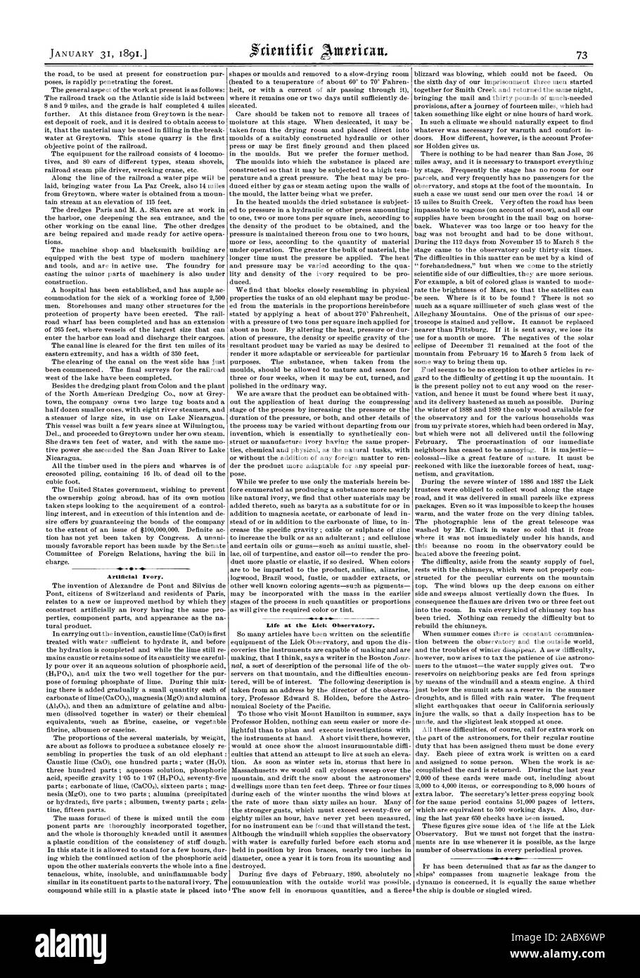 Artificial ivory Black and White Stock Photos & Images - Alamy