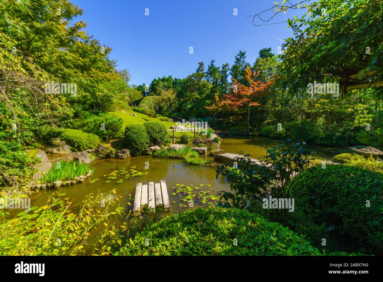 View of the Yoko-en (pond garden) of the Taizo-in Temple, in Kyoto ...