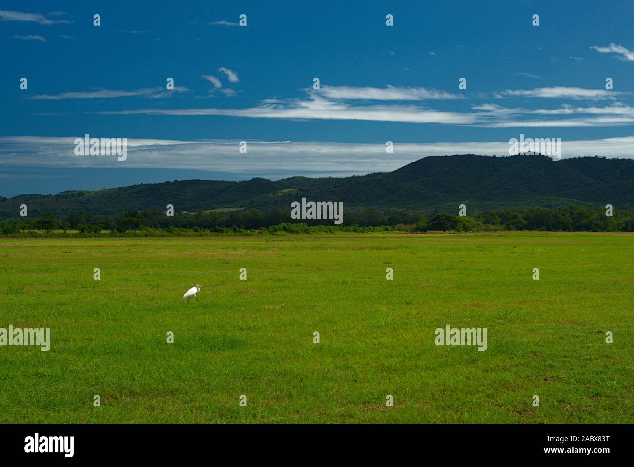 Lajas puerto rico hi-res stock photography and images - Alamy