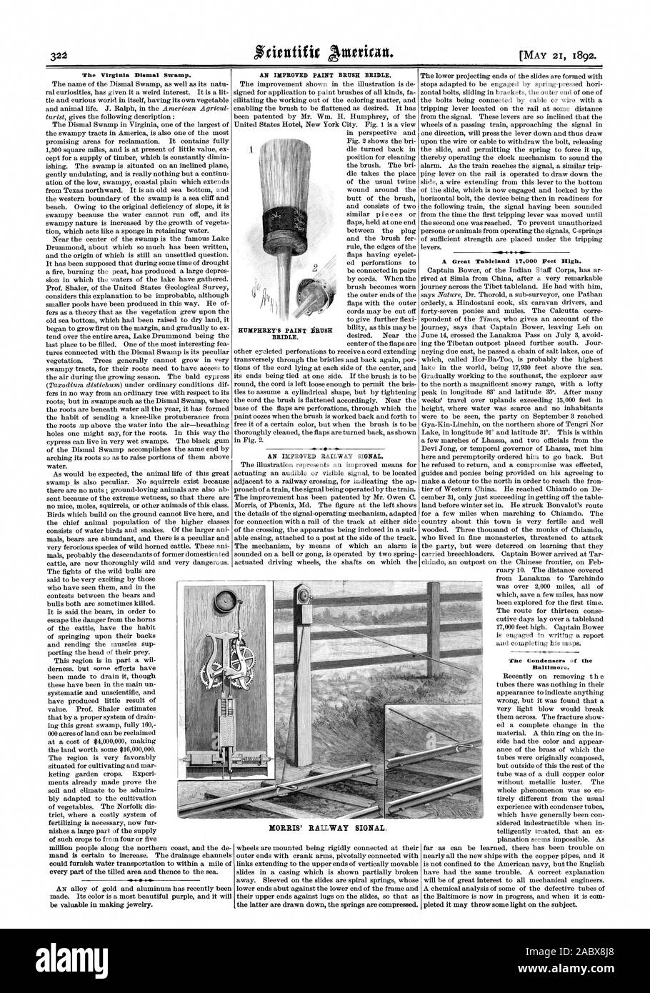 Swamp drainage Cut Out Stock Images & Pictures - Alamy