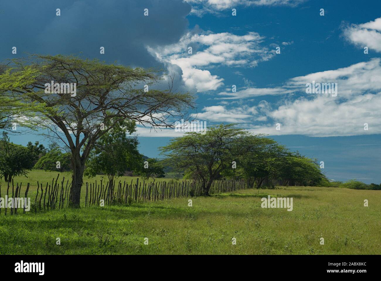Lajas puerto rico hi-res stock photography and images - Alamy