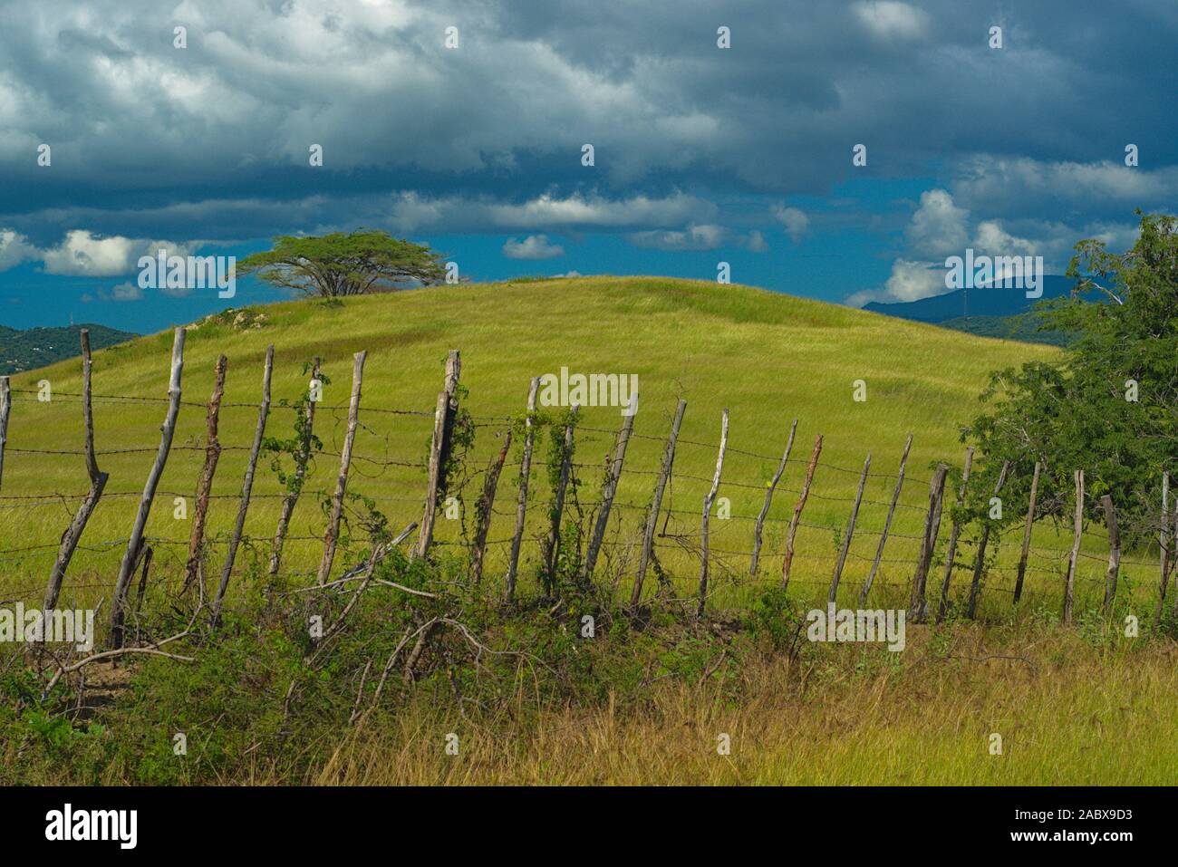 Lajas puerto rico hi-res stock photography and images - Alamy