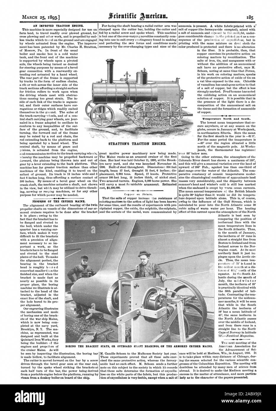 South american donkey Black and White Stock Photos & Images - Alamy