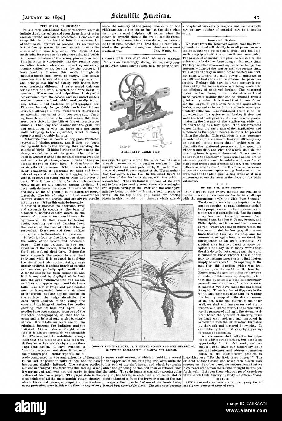 Humphreys cable grip Cut Out Stock Images & Pictures - Alamy