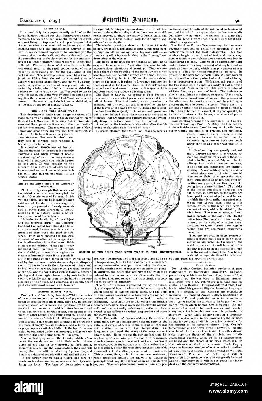 9 prof Cut Out Stock Images & Pictures - Alamy