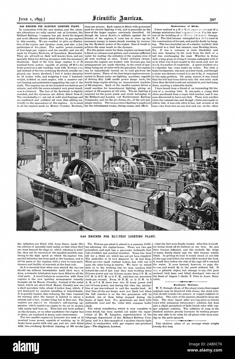 Gas engines for electric lighting plant hi-res stock photography and ...