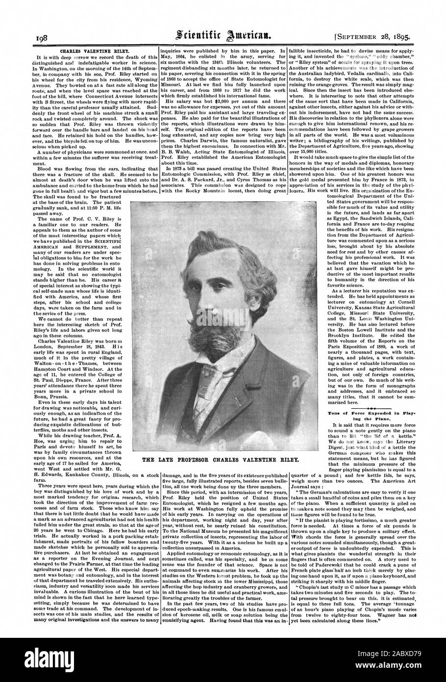 Late professor charles valentine riley hi-res stock photography and ...