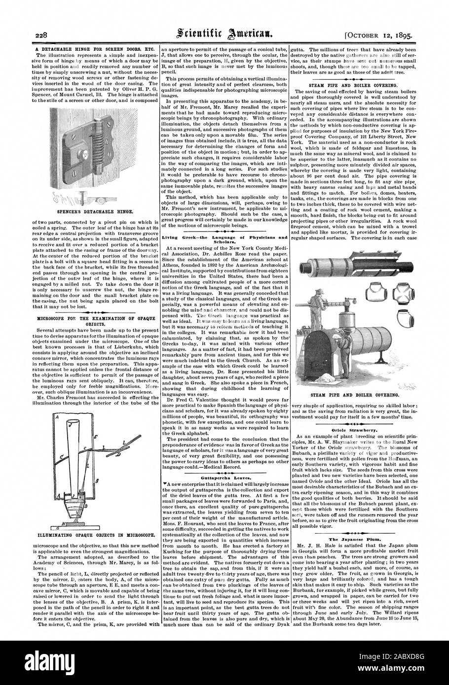 Detachable hinge for screen doors etc hi-res stock photography and ...