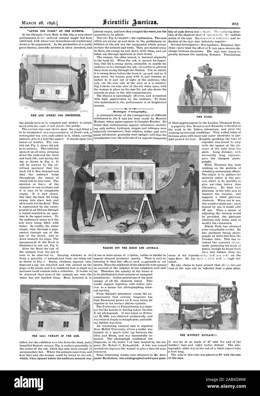 Ark photography Black and White Stock Photos & Images - Alamy