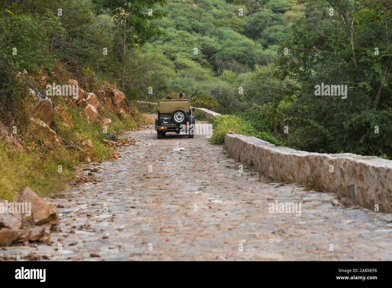Jhalana Forest Reserve, Jaipur, Rajasthan, India - August 17, 2019 ...