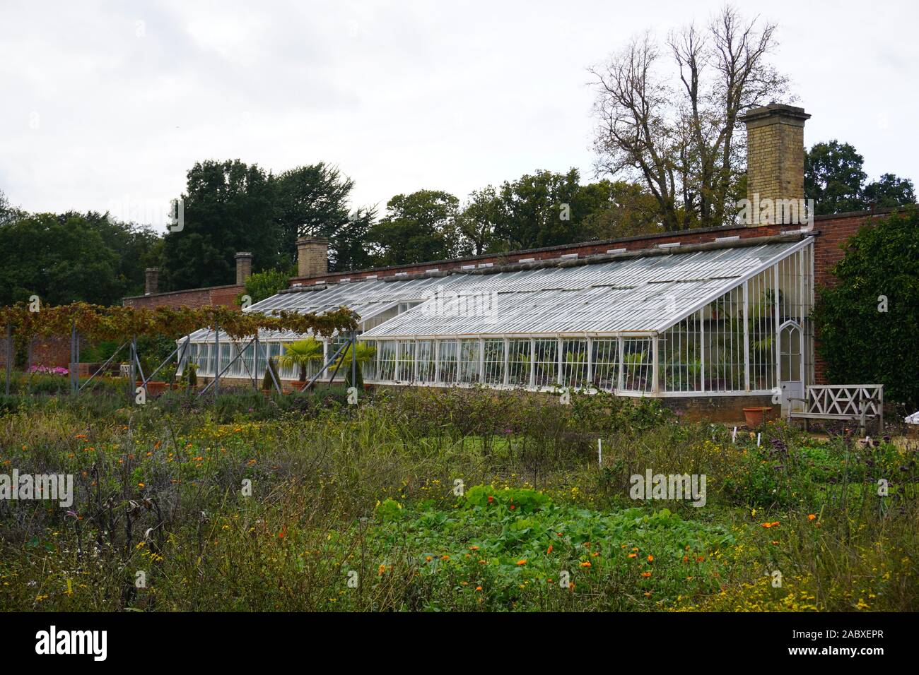 Princess helena college hi-res stock photography and images - Alamy