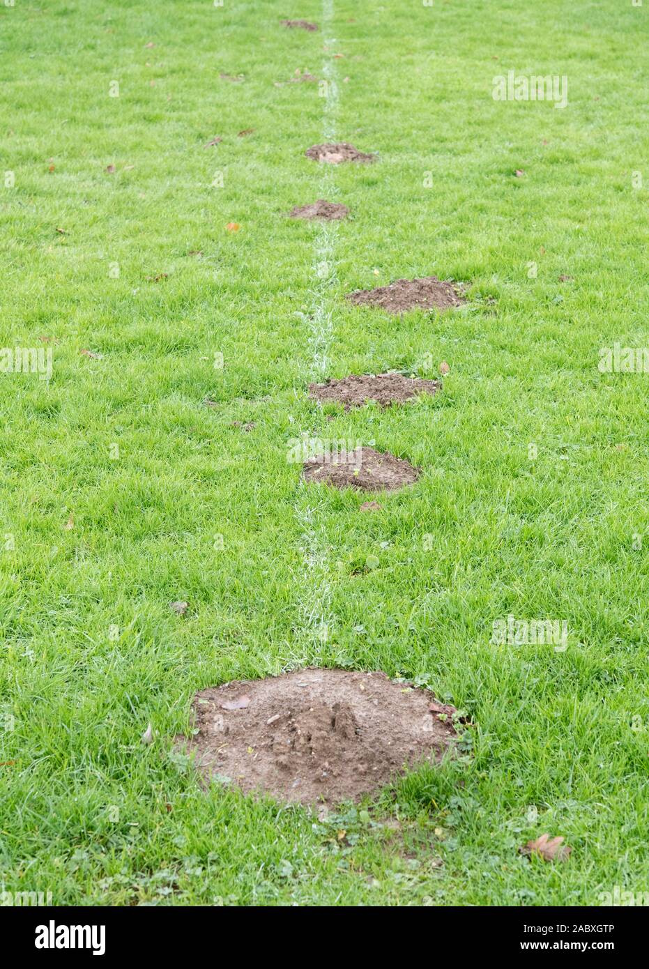 Rugby League Pitch High Resolution Stock Photography and Images - Alamy