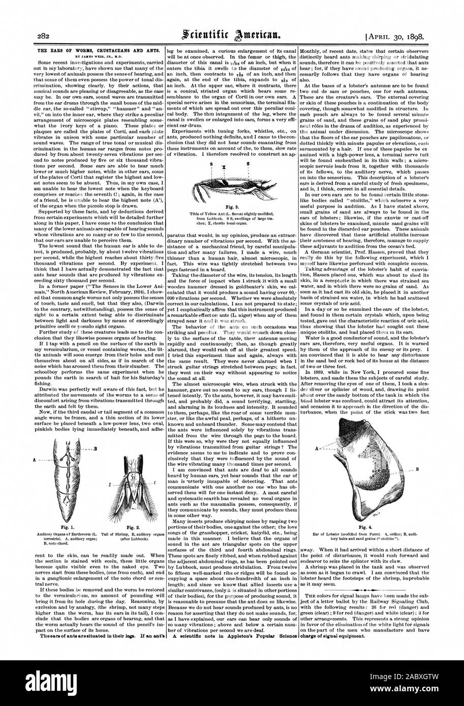 THE EARS OF WORMS CRUSTACEANS AND ANTS. BY JAMES WEIR JR. M.D. Fig. 1 ...