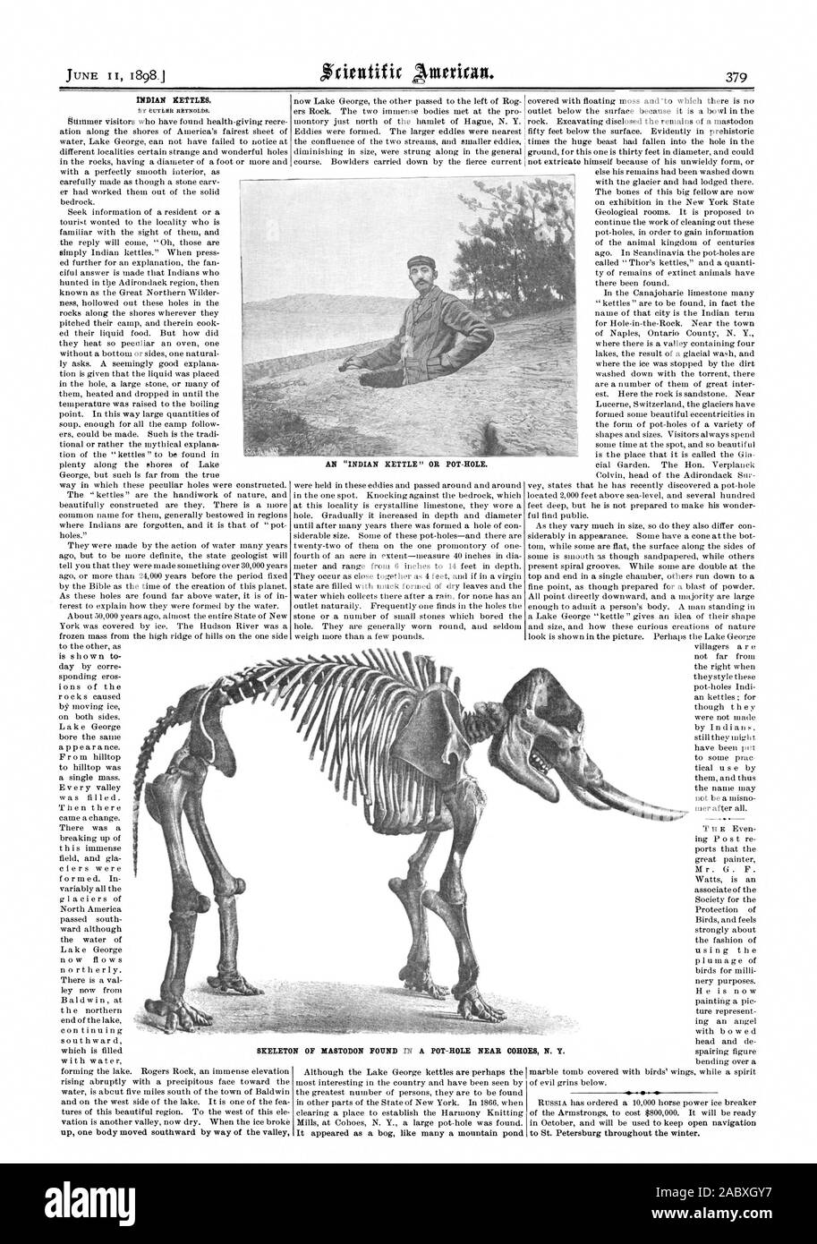 Bog Body High Resolution Stock Photography and Images - Alamy