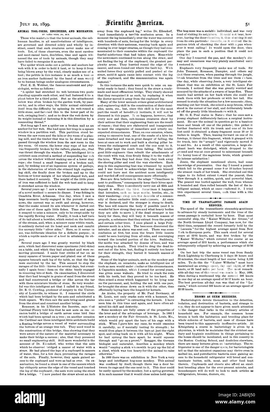 ANIMAL TOOL-USERS ENGINEERS AND MECHANICS. BY LilES WEIR JR. M.D. TIME ...