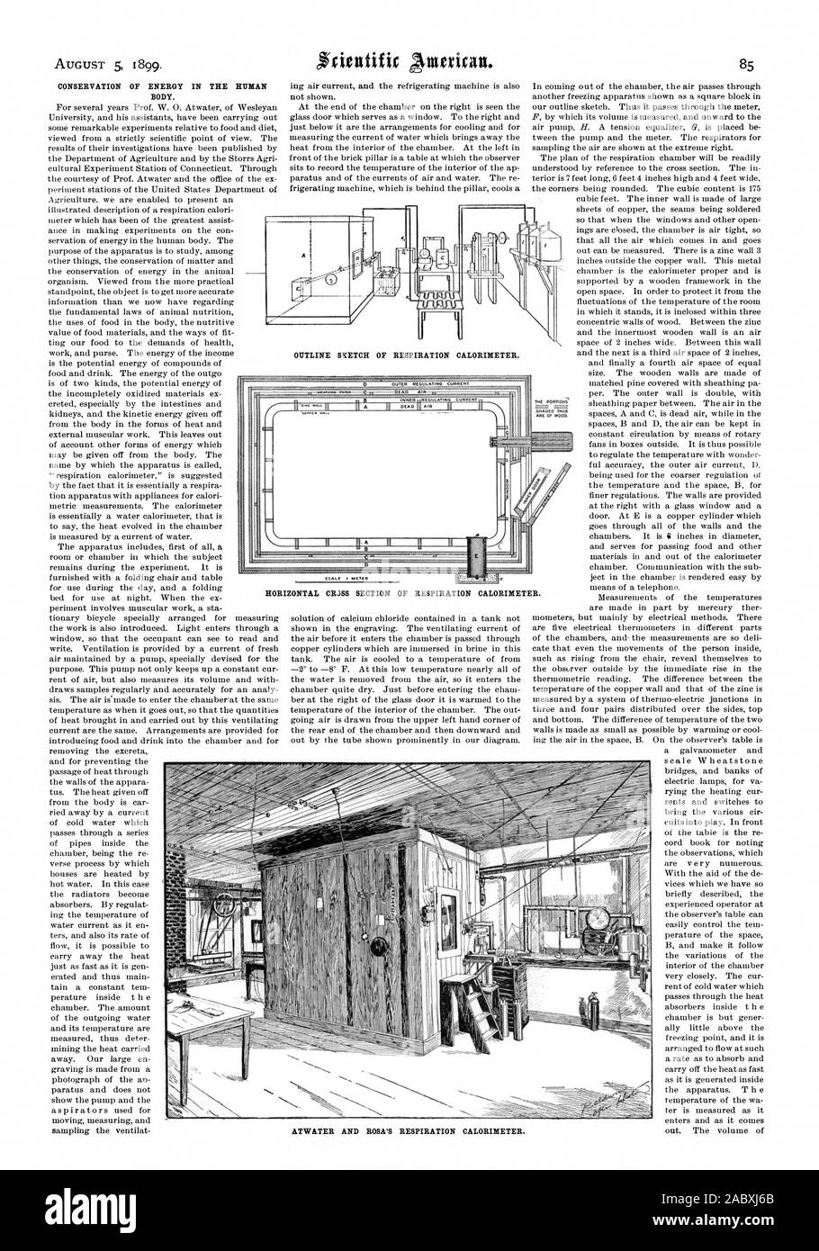 CONSERVATION OF ENERGY IN THE HUMAN BODY. ATWATER AND ROSA'S ...
