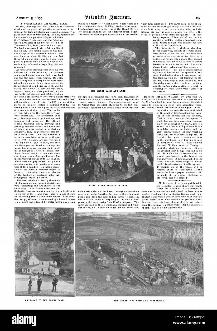 1899 08 05 hi-res stock photography and images - Alamy