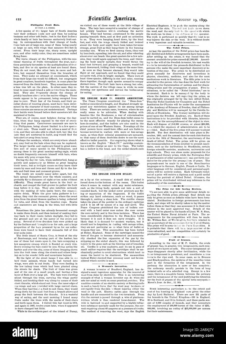 Philippine bats Black and White Stock Photos & Images - Alamy