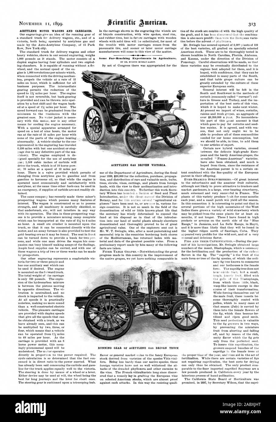 Some Far-Reaching Experiments in Agriculture. ACETYLENE GAS DRIVEN ...