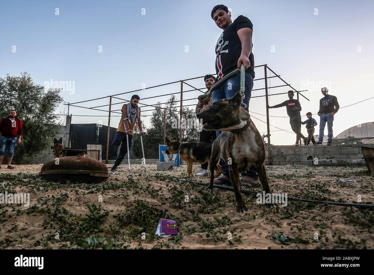 Palestinian train dogs a the yard in the southern Gaza Strip, on Nov 28 ...