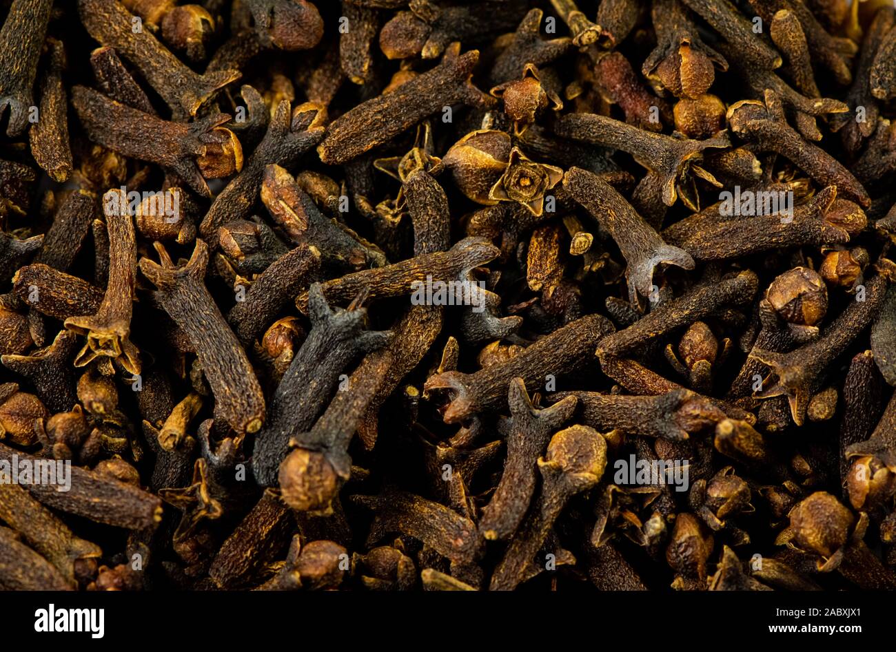 Macro photograph of clove sticks in white background Stock Photo - Alamy