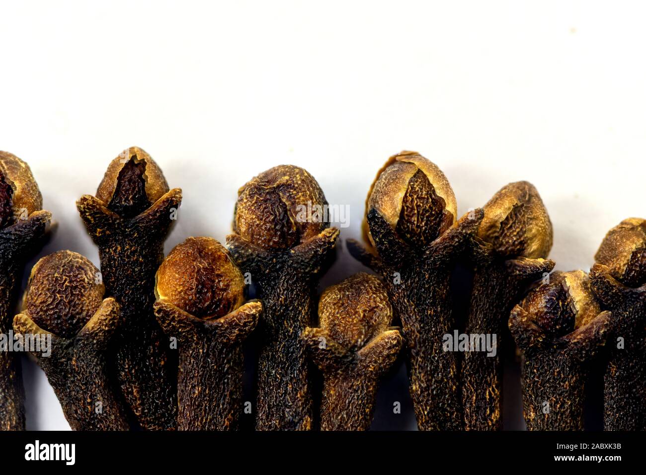 Macro photograph of clove sticks in white background Stock Photo - Alamy