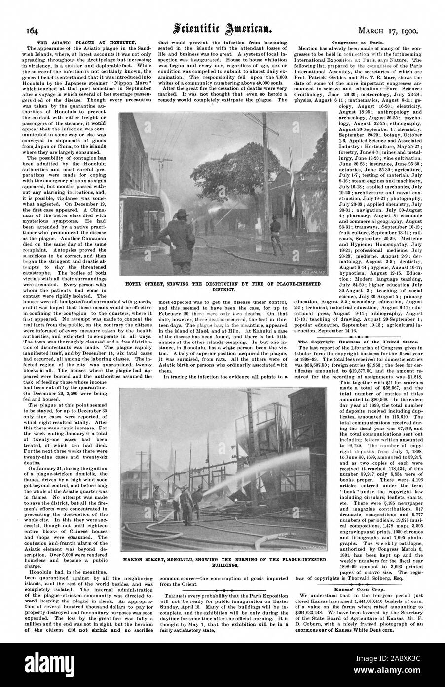 Plague infested buildings hi-res stock photography and images - Alamy