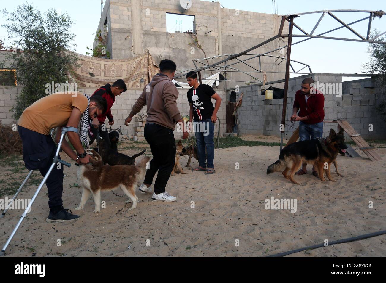 Palestinian train dogs a the yard in the southern Gaza Strip, on Nov 28 ...