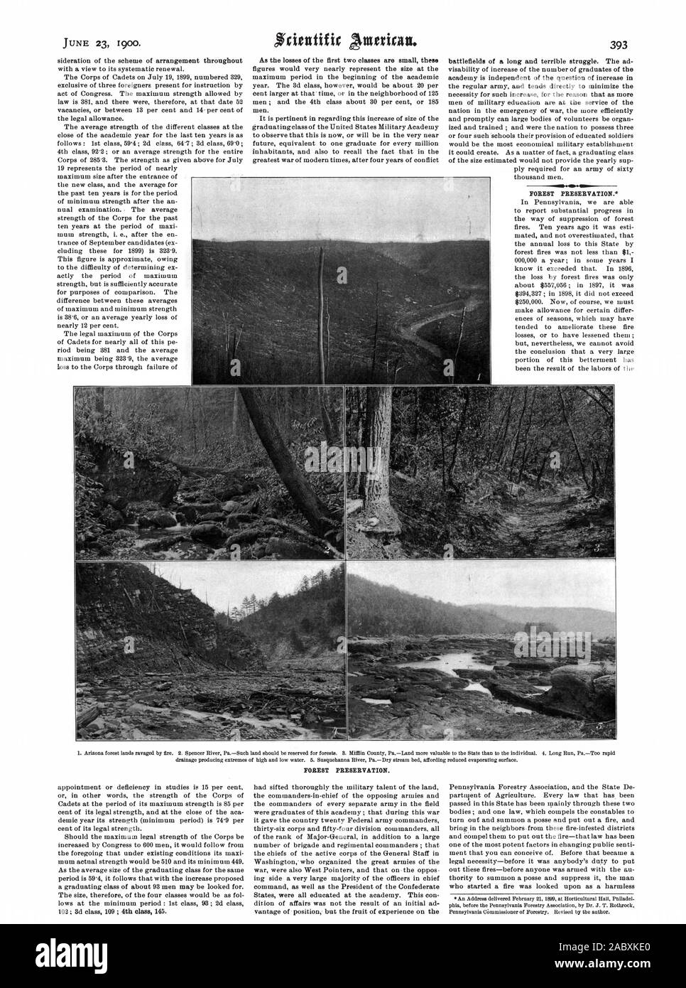 FOREST PRESERVATION. FOREST PRESERVATION., scientific american, 1900-06 ...