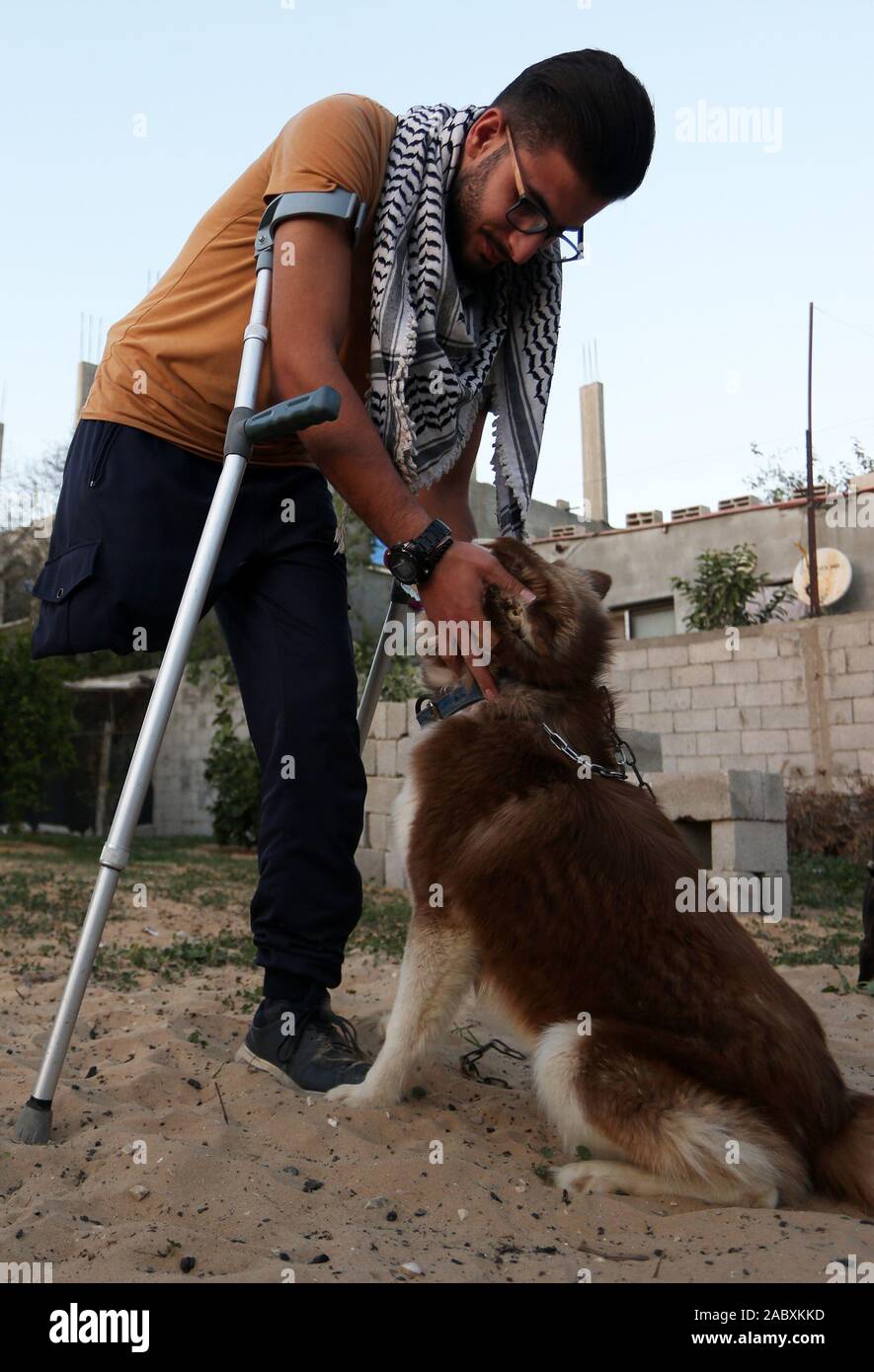 Palestinian train dogs a the yard in the southern Gaza Strip, on Nov 28 ...