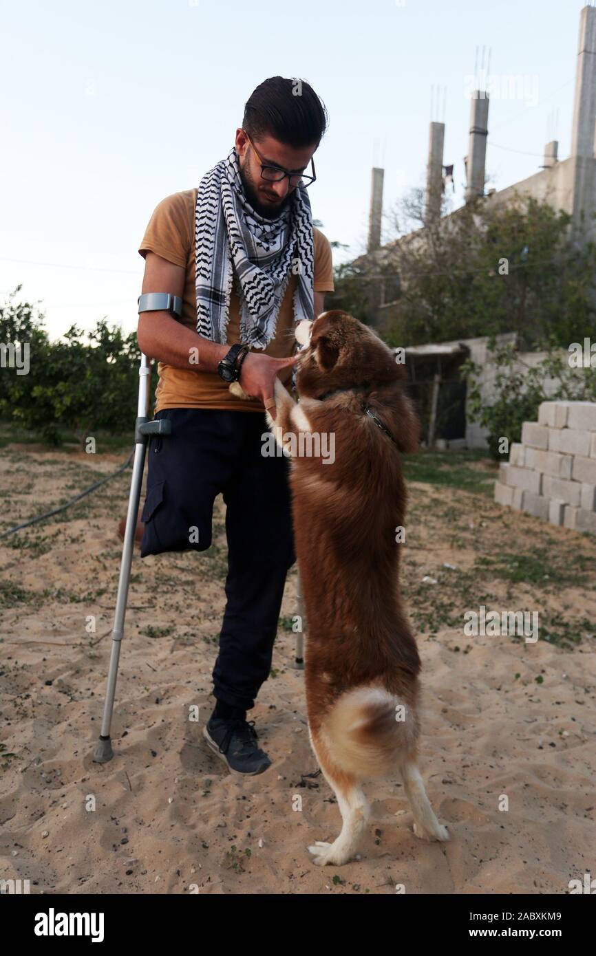 Palestinian train dogs a the yard in the southern Gaza Strip, on Nov 28 ...