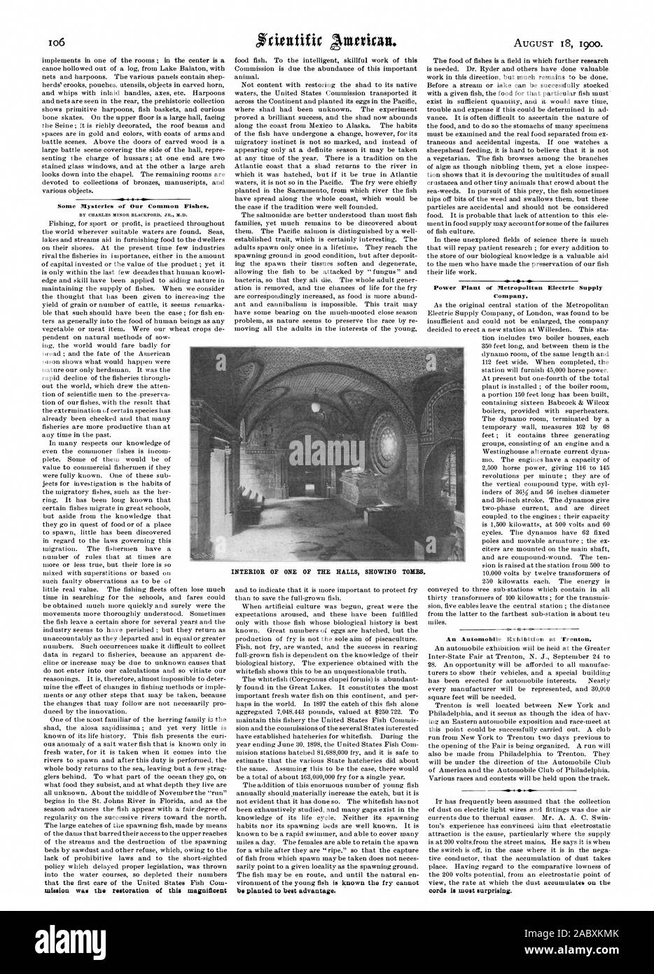 Some Mysteries of Our Common Fishes. INTERIOR OF ONE OF THE HALLS ...