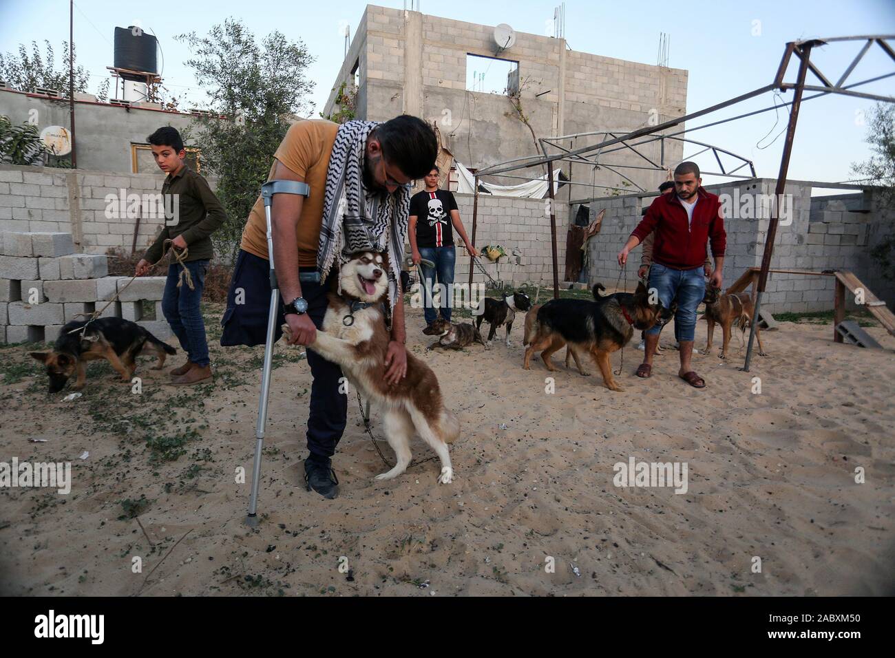 Palestinian train dogs a the yard in the southern Gaza Strip, on Nov 28 ...